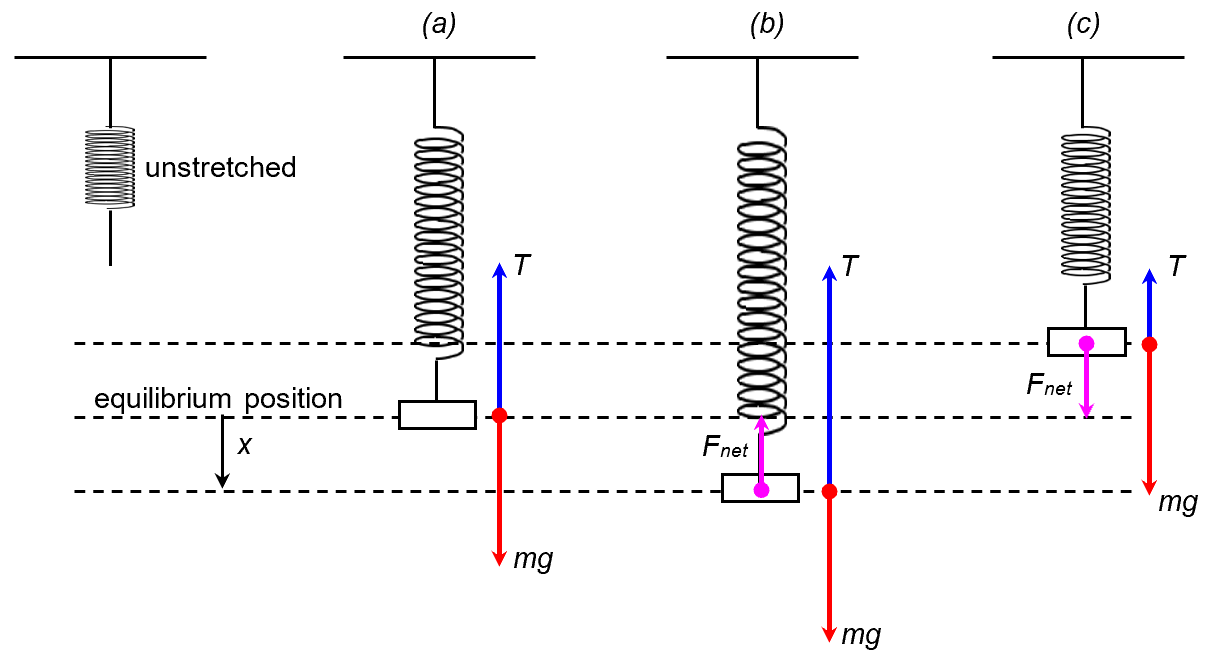 8.2.1 Restoring Force – xmPhysics